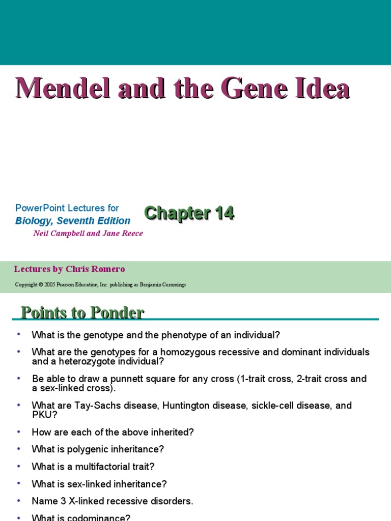 Ch14 LEC Mendel 2016edit | PDF | Dominance (Genetics) | Allele