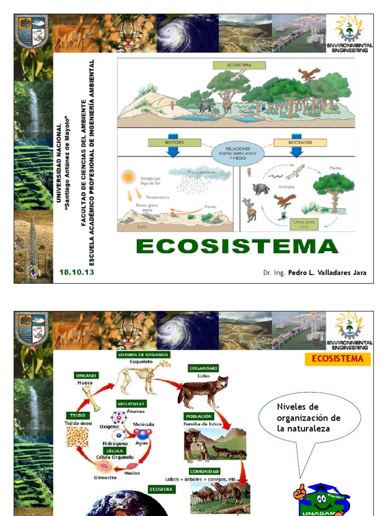 Conceptos Clave de Ecosistemas | PDF | Ecosistema | Habitat