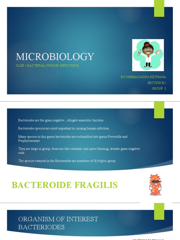 Bacteroides Fragilis | PDF | Infection | Lipopolysaccharide