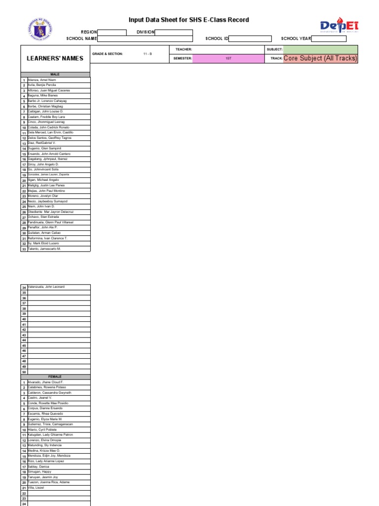 Input Data Sheet For SHS E-Class Record: Learners' Names | PDF