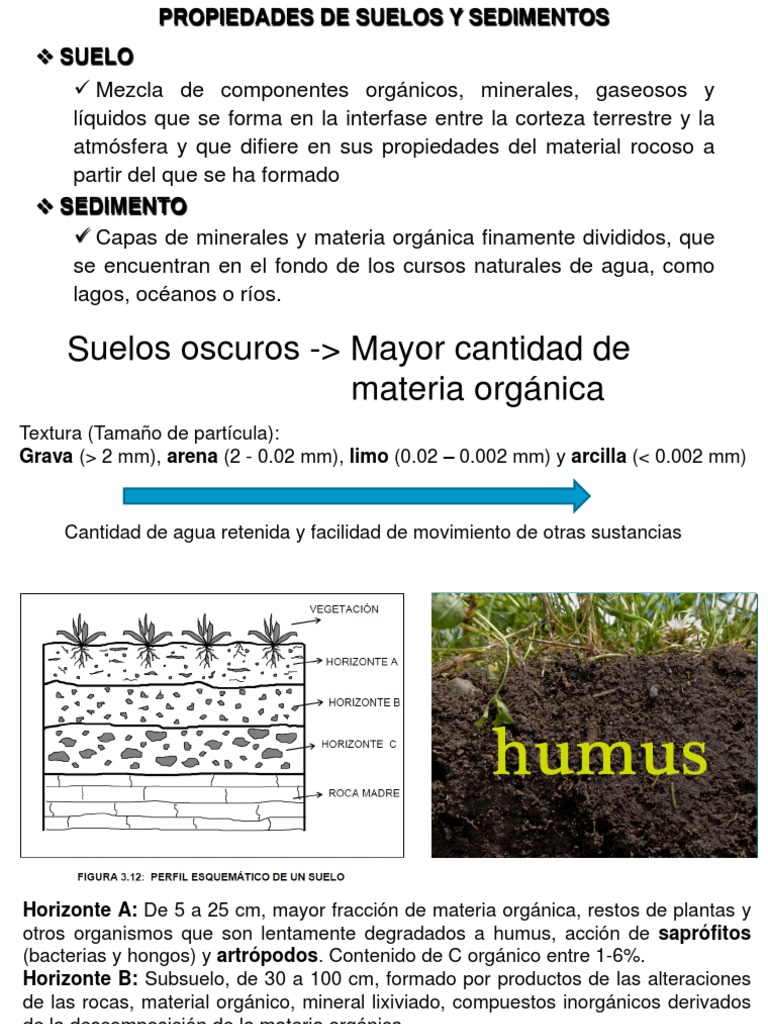 SUELOS | PDF | Suelo | Agua