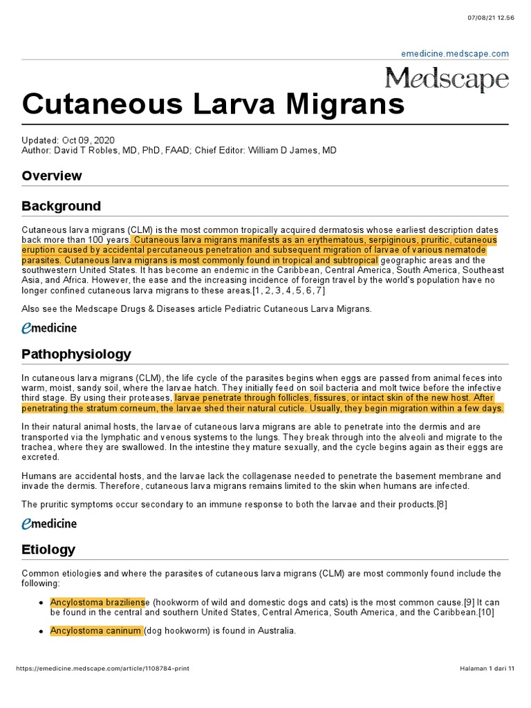 Cutaneous Larva Migrans Symptoms