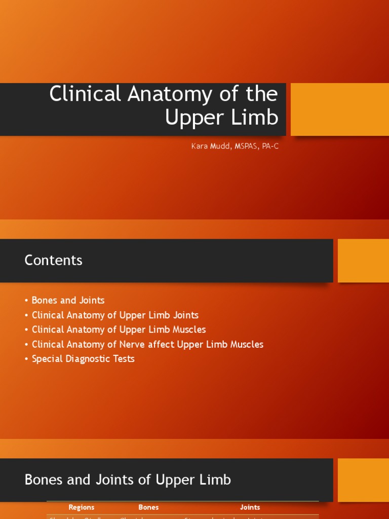 Clinical Anatomy of The Upper Limb: Kara Mudd, MSPAS, PA-C | PDF ...