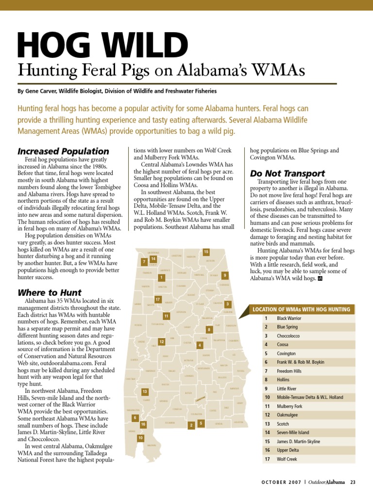 Hunting Feral Pigs in Alabama WMAs | PDF | Pig | Hunting