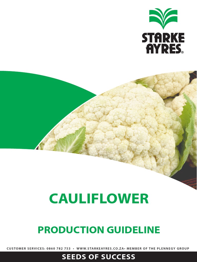 Cauliflower Production Guideline 2019 | Download Free PDF | Cauliflower ...