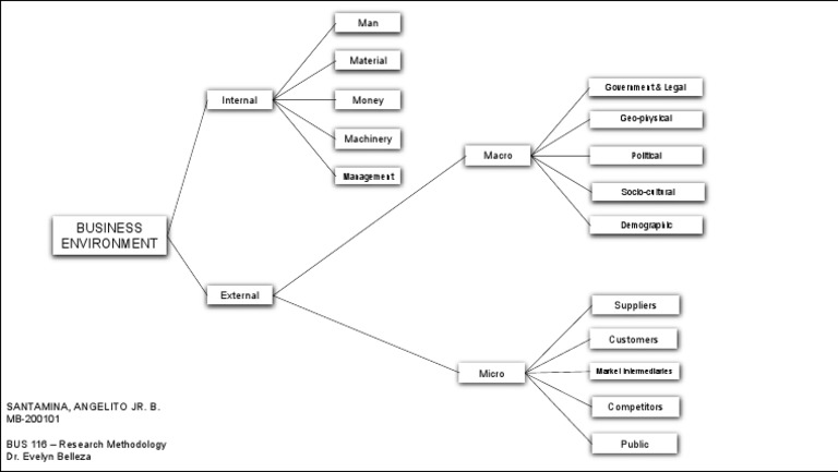 Business Environment Structure Diagram | PDF