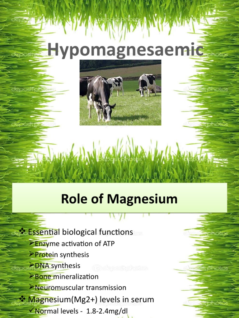 Hypomagnesemia LL | PDF | Magnesium