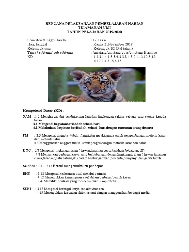 LK 5 RPPH - Andreas Eka Putra | PDF