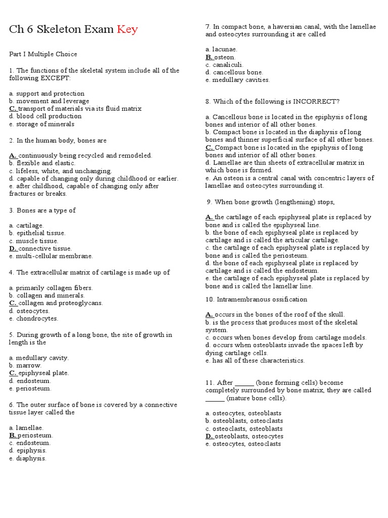 Skeletal System Sample Quiz With Answers | PDF | Osteoblast | Bone