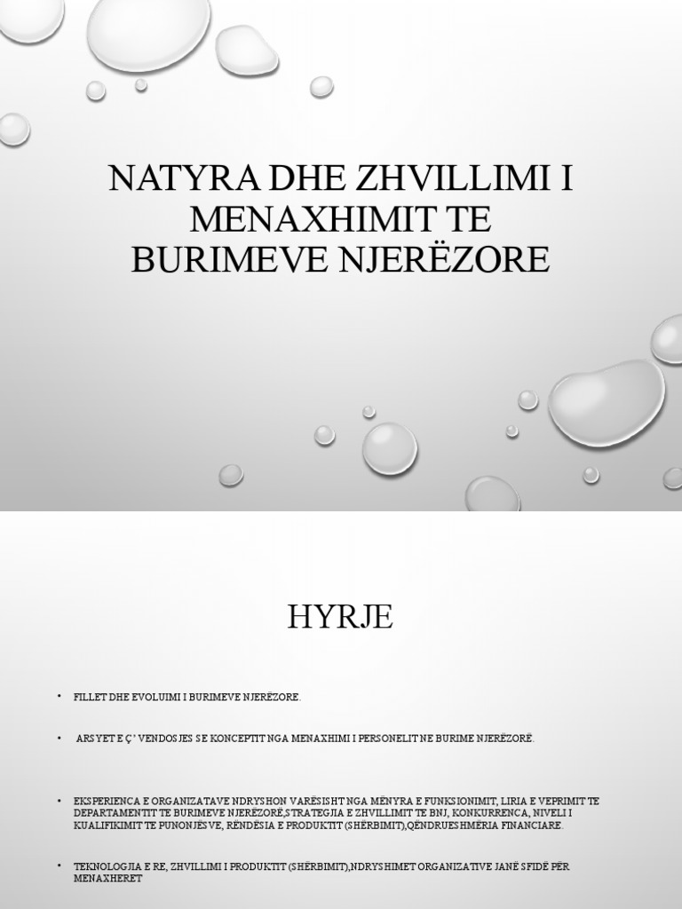 Burimet Njerezore | PDF