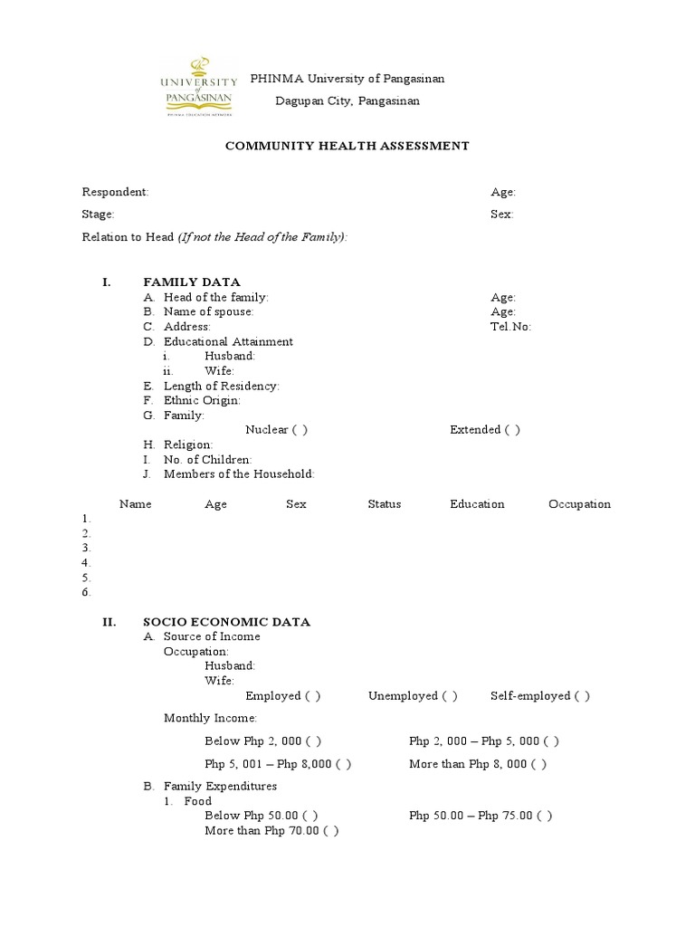 Community Health Assessment Form 1 2 | PDF | Health Sciences