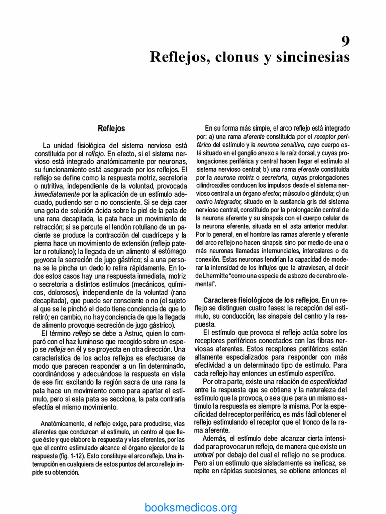 Reflejos y Clonus en el Sistema Nervioso | PDF | Neurona | Materia gris