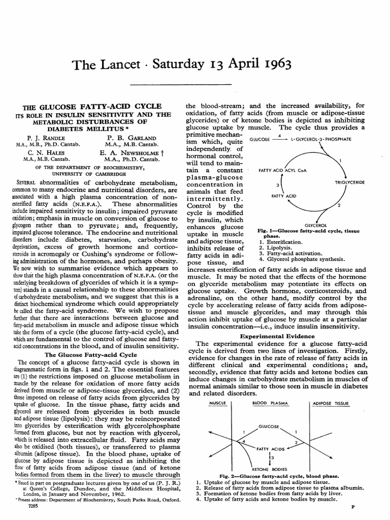 The Glucose Fatty-Acid Cycle. Its Role In... (Randle1963) Randle Cycle ...