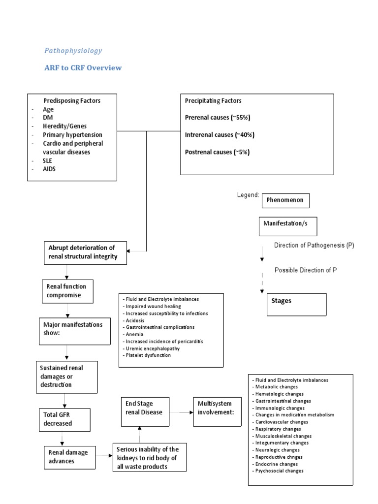 ARF To CRF Overview: Pathophysiology | PDF | Angiotensin ...