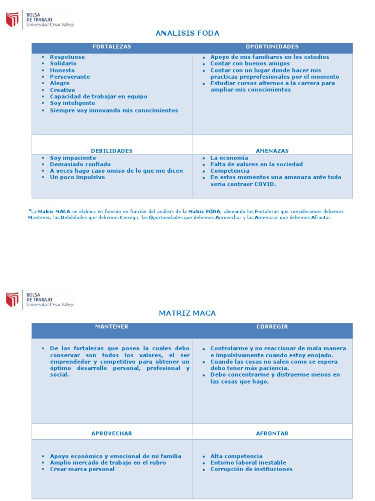 Matriz Foda - Maca | PDF | Análisis FODA | Economias