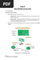 Variegated Leaf Expt | PDF | Leaf | Photosynthesis