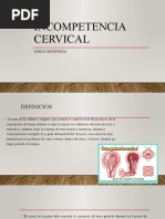Protocolo de Cerclaje Cervical | PDF | Parto | El embarazo