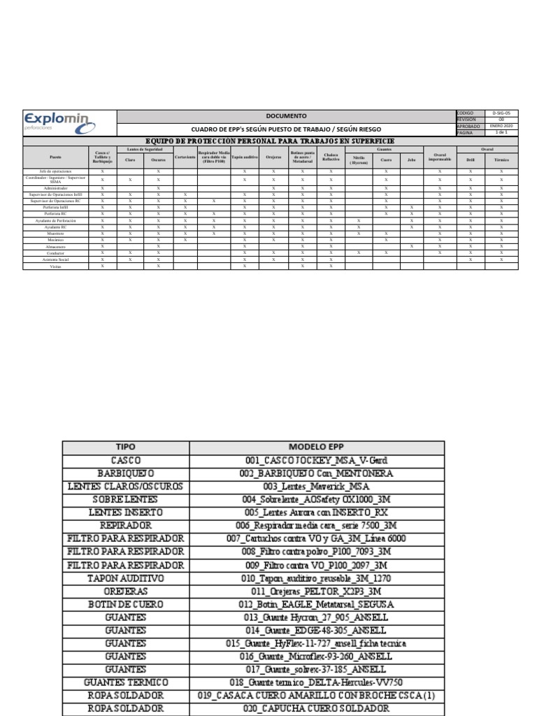 D-SIG-05 Cuadro EPP Segun El Puesto y Riesgo de Trabajo | PDF | Equipo deportivo | Sombrerería