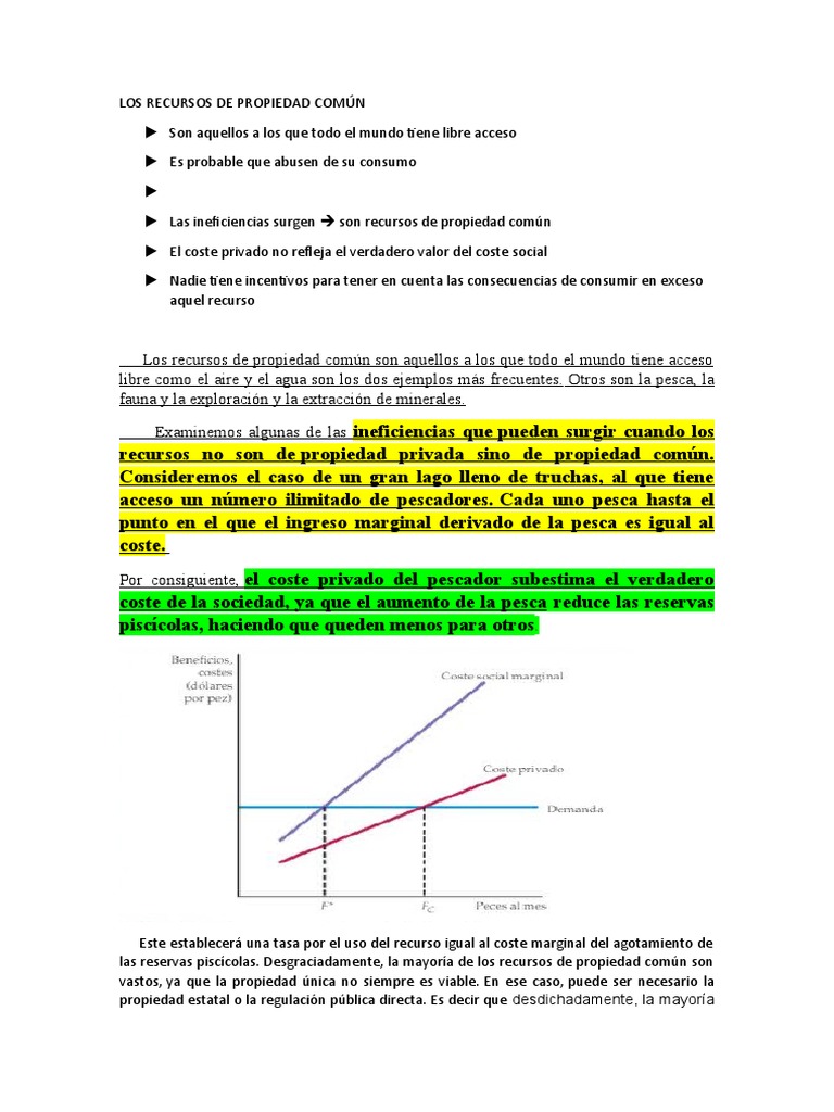 Los Recursos de Propiedad Común | PDF | Exterioridad | Economias