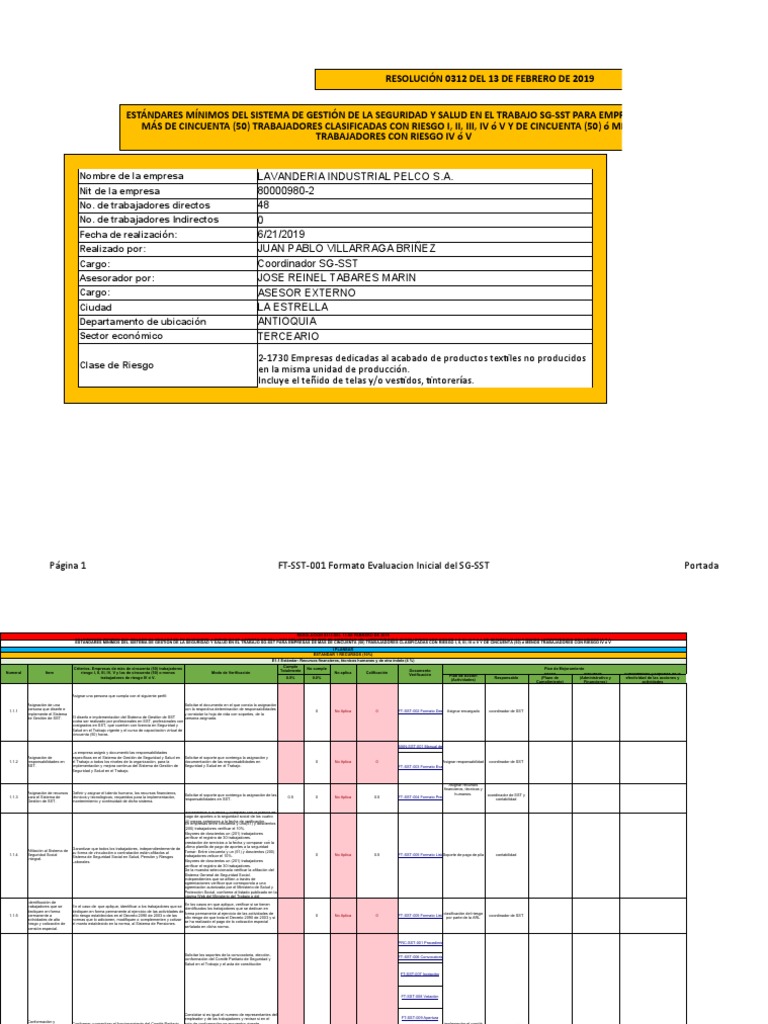 FT-SST-001 Formato Evaluacion Inicial Del SG-SST 50 HORAS | PDF | Bienestar | Pensión