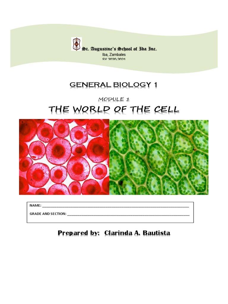 The World of The Cell: General Biology 1 | PDF | Cell (Biology) | Organelle