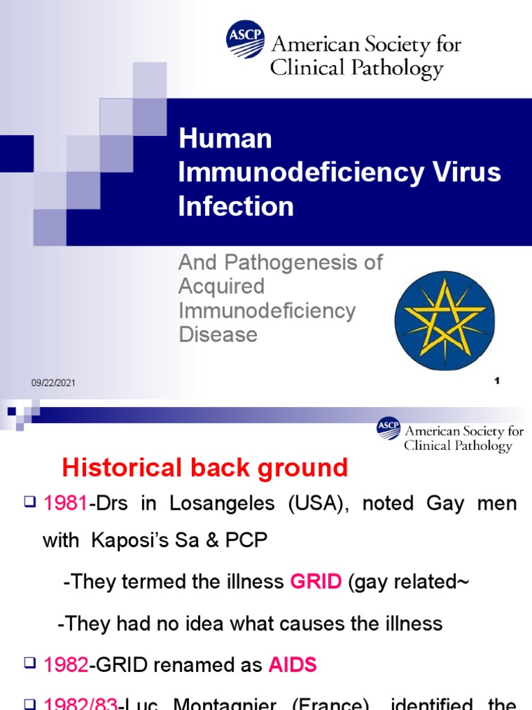 Human Immunodeficiency Virus Infection and Parvo Virus | PDF | Virus | Hiv