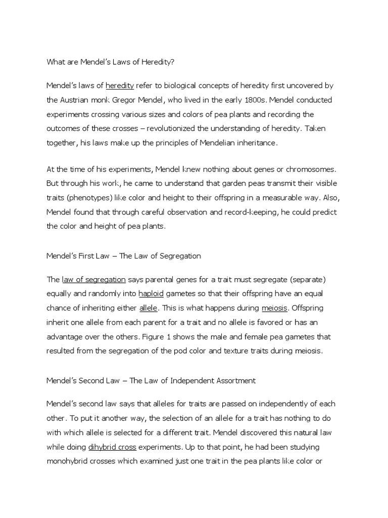 Mendel and His Laws | PDF | Dominance (Genetics) | Heredity