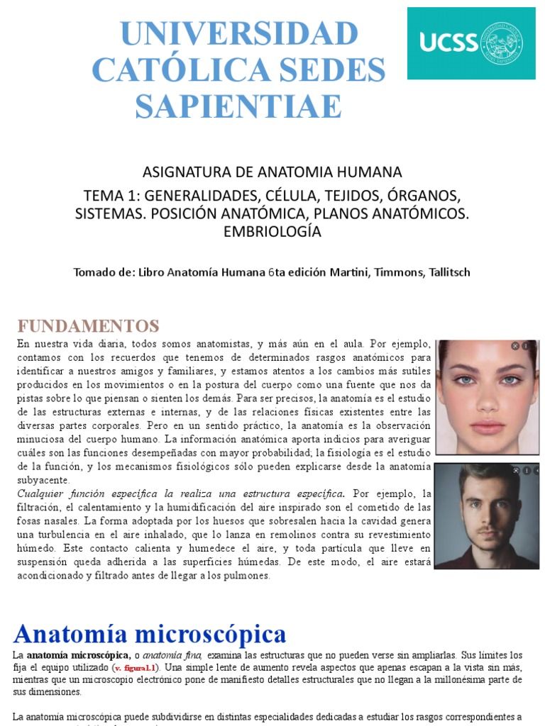 Universidad Católica Sedes Sapientiae Tema 1 Anatomia Descargar