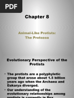 BOTANY RECORD MARCH 2025 FINAL | PDF | Botany | Plants