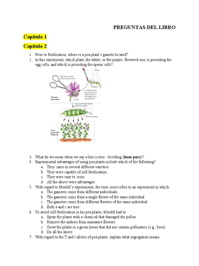 Practice Problems - Genetics | PDF | Meiosis | Dominance (Genetics)