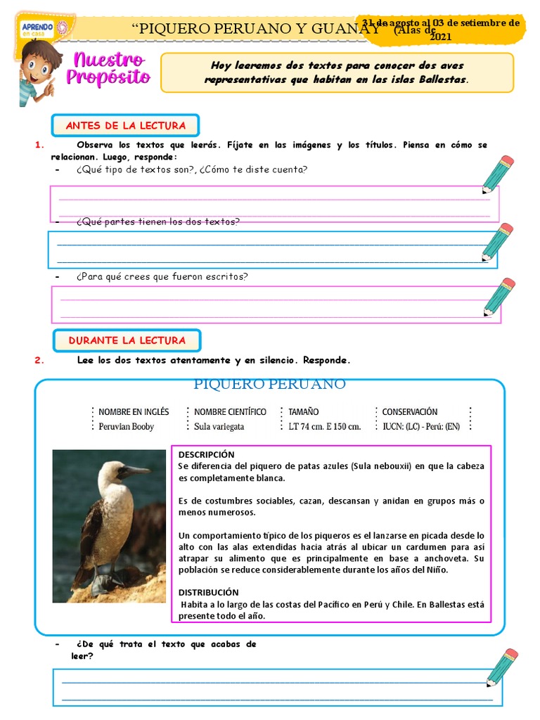 Leemos Juntos Piqueo Peruano y Guanay | PDF | Perú | Paravianos