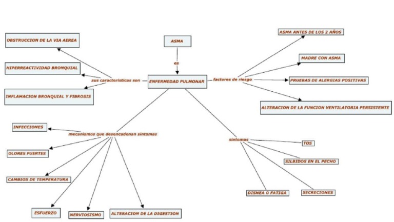 Mapa Conceptual Asma | PDF
