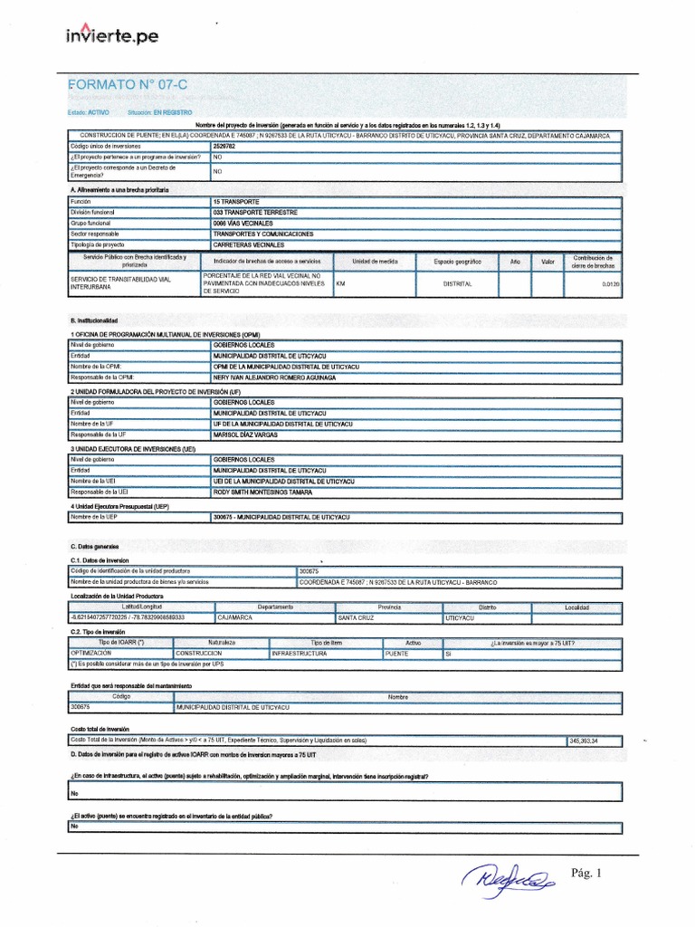 Formato 07 C | Pdf