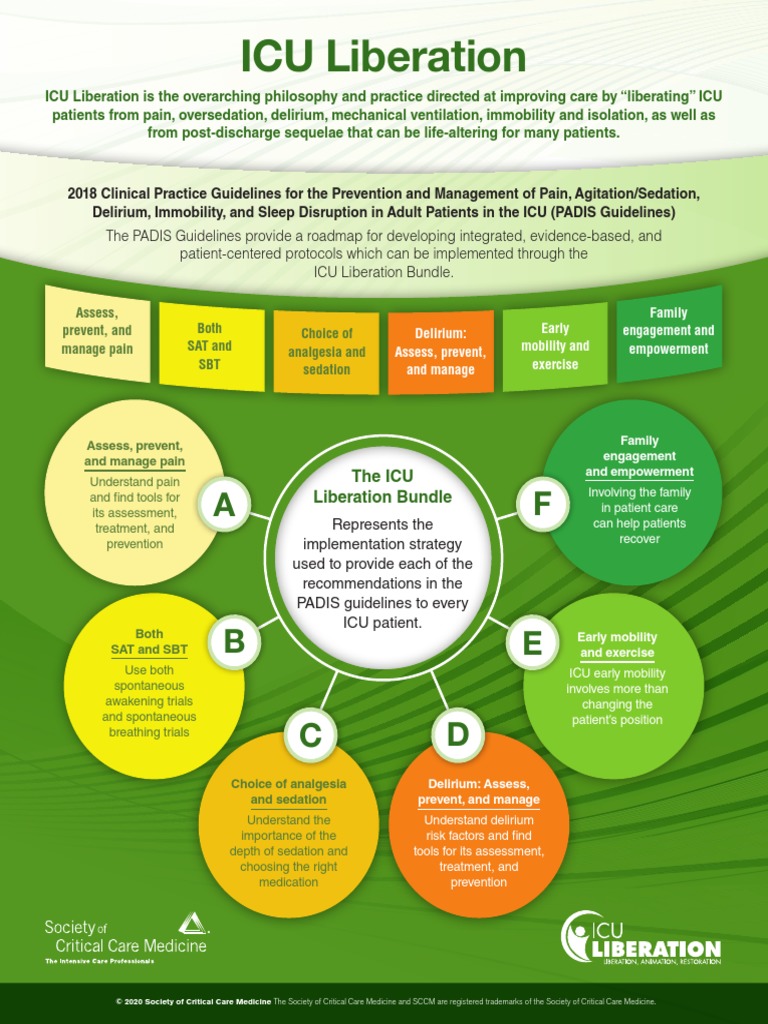 ICU Liberation Poster | Download Free PDF | Intensive Care Unit ...
