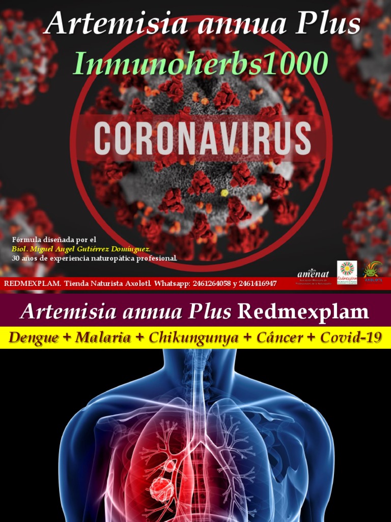 Artemisia Plus Inmunoherbs 1000 Precios 2021 | PDF | Cáncer | Malaria