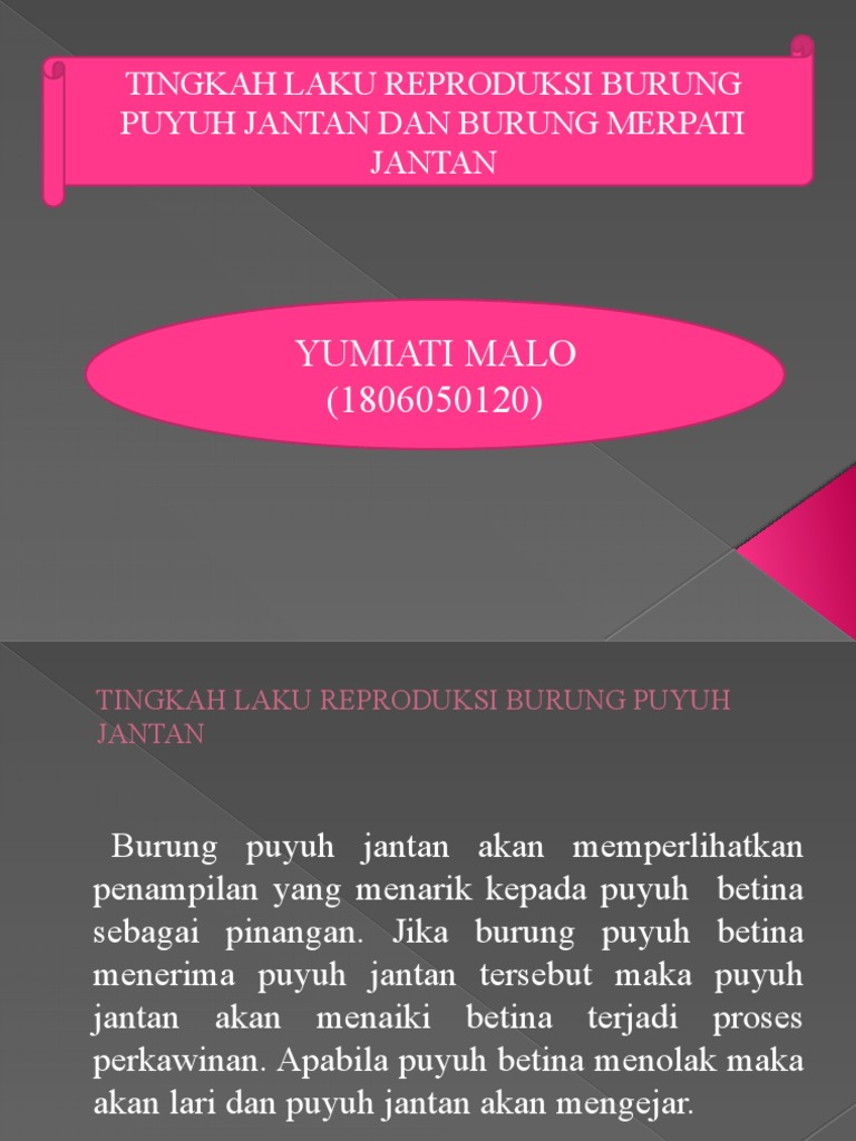 Tingkah Laku Reproduksi Burung Puyuh Dan Merpati | PDF