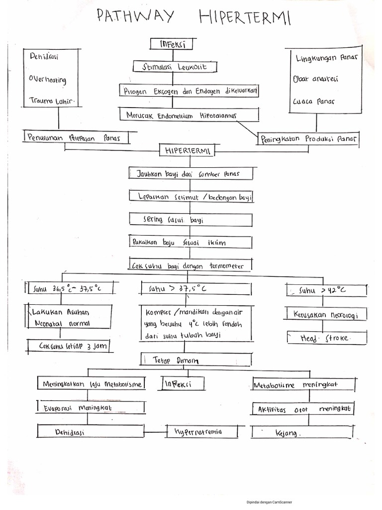 Pathway Hipertermi | PDF