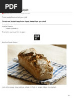 Toastmaster Bread Box Model 1186 Instruction Manual Recipes | PDF ...