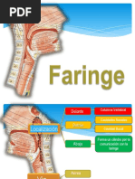 Anatomía y Fisiología de La Rinofaringe, Orofaringe e Hipofaringe | PDF ...