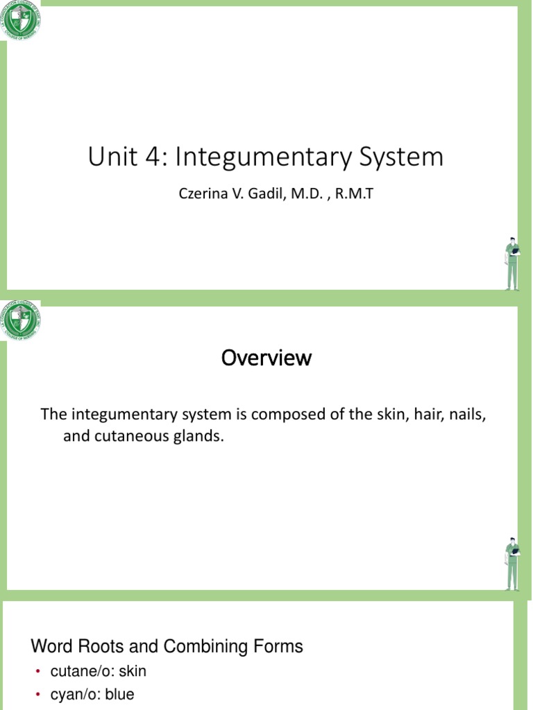 Unit 4: Integumentary System: Czerina V. Gadil, M.D., R.M.T | PDF ...