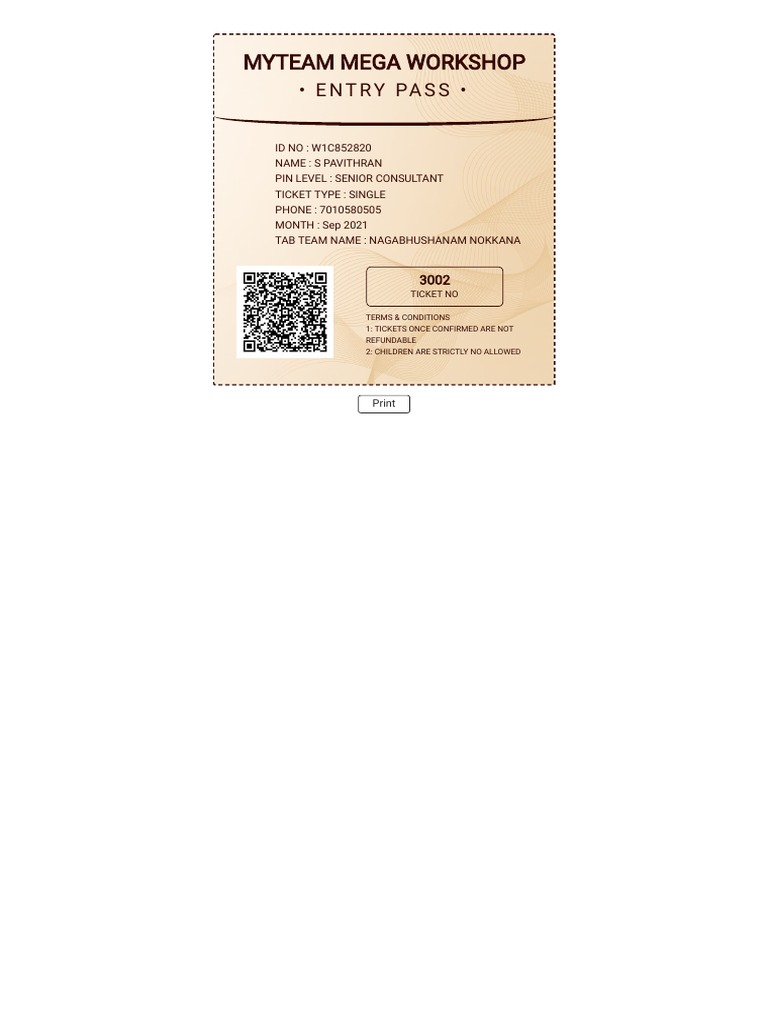 MyTeam Mega Workshop Entry Pass | PDF