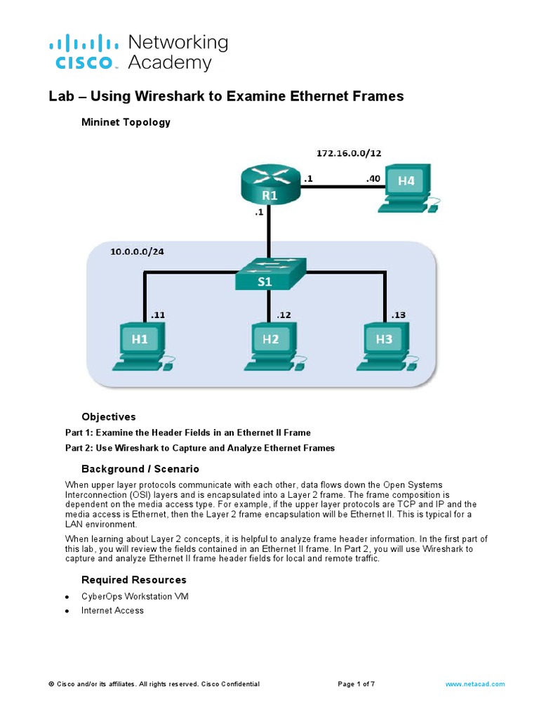 4.4.2.8 Lab - Using Wireshark To Examine Ethernet Frames | PDF | Ethernet | Internet Protocols