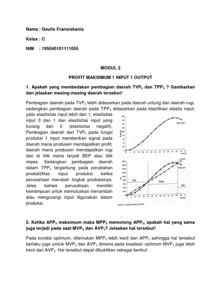 (Tutor) Geulis Fransiskanis - 195040101111055 - C - Tugas 1 | PDF | Komputer