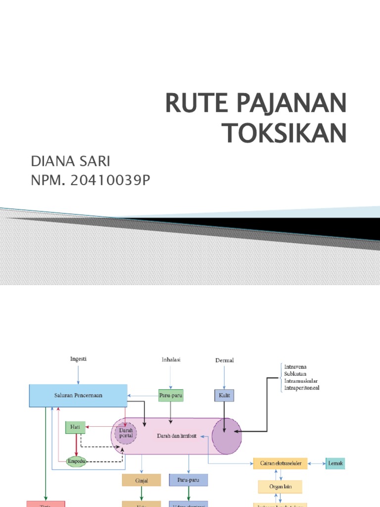 Skema Pajanan Toksikan | PDF