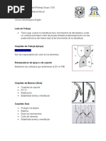 Diagrama de Posselt en Oclusión | PDF | Sistema musculoesquelético ...