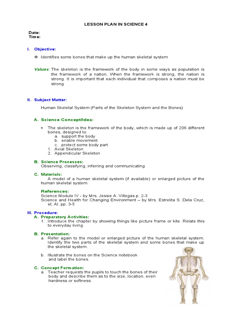 Dlp Science 4 Human Skeletal System Pdf Skeleton Bone