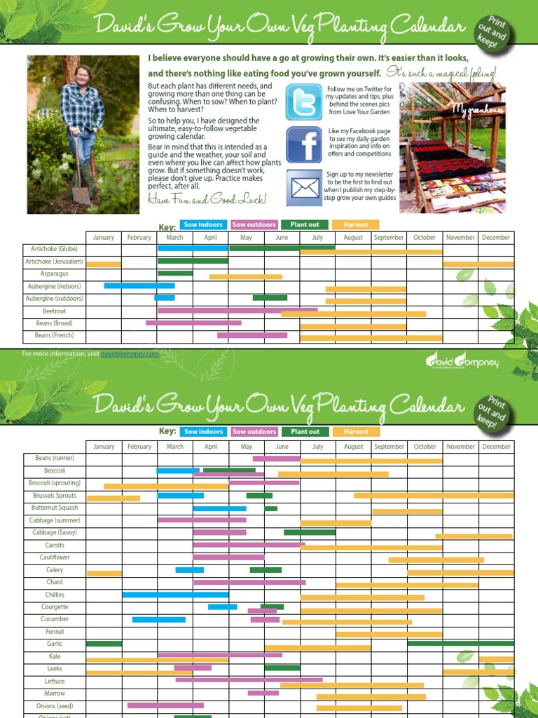 Vegetable Planting Calendar | PDF | Onion | Salad
