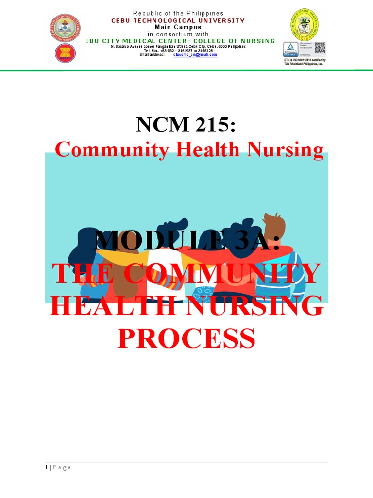The Community Health Nursing Process | PDF | Survey Methodology ...