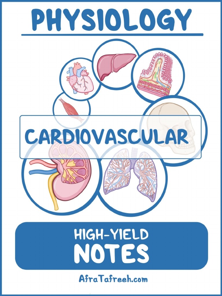 3 Cardiovascular Physiology | PDF | Heart Valve | Lymph Node