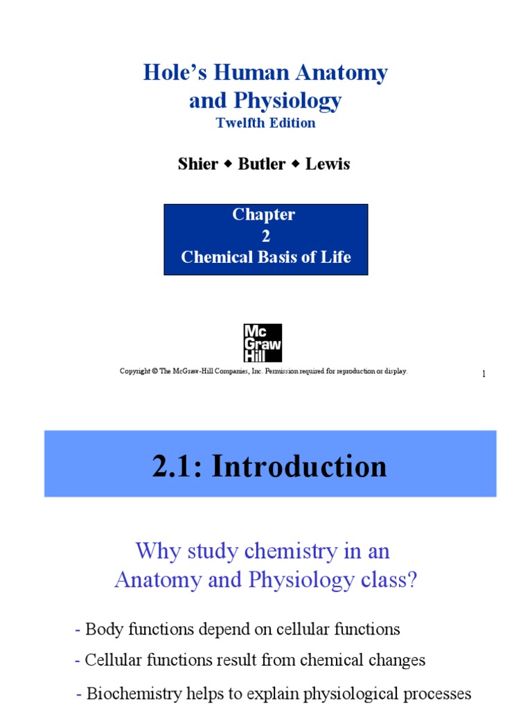 Hole's Human Anatomy and Physiology: Shier Butler Lewis | PDF | Ion ...